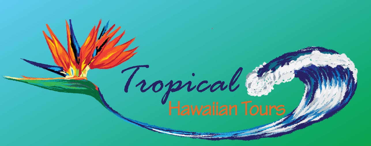 About Us - Hawaiian Tours